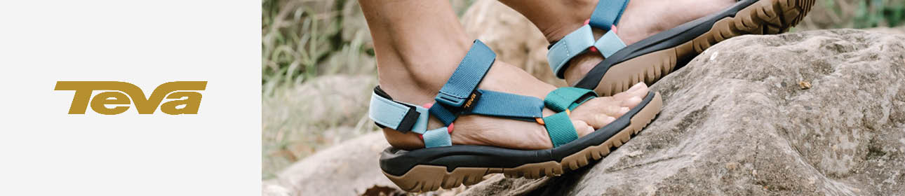TEVA – Sole Provisions