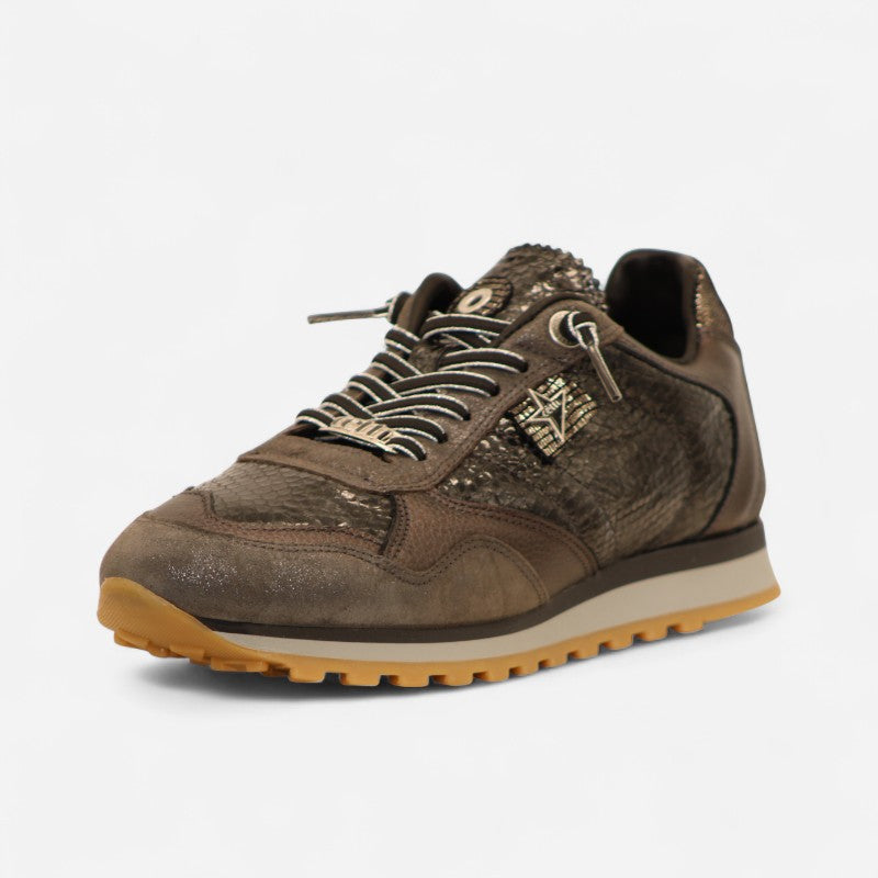 Cetti C-848 – Sole Provisions